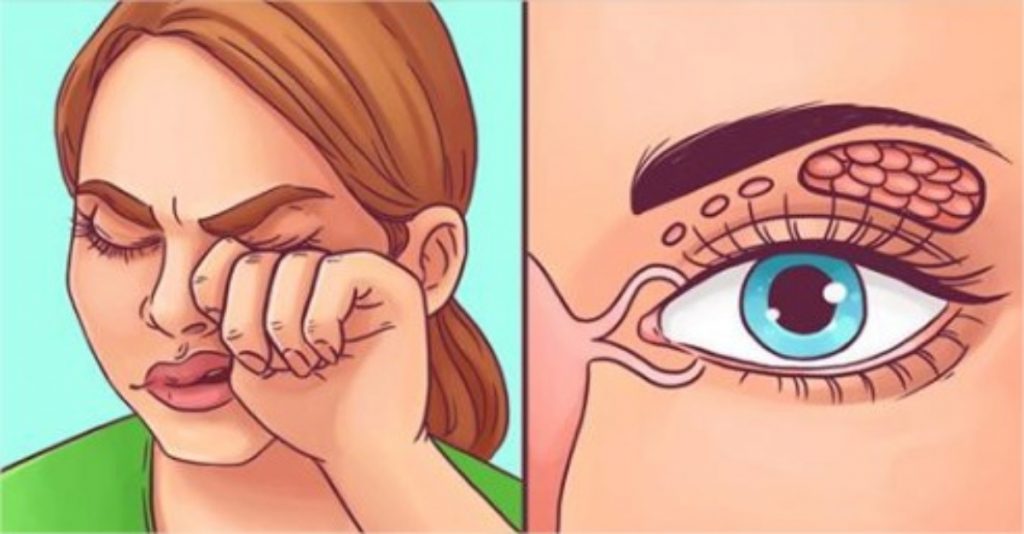 10 Útiles Consejos Para Aliviar La Sequedad En Los Ojos | Delicias Blog