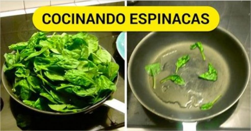 19 Memes De Comida Con Los Que Te Vas A Identificar Y Te Sacarán Una ...