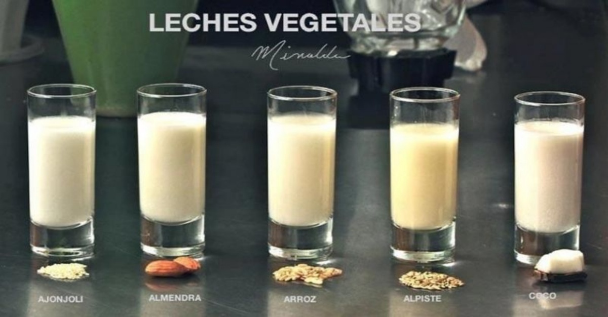 ¿Quieres Sustituir La Leche Animal? Aprende A Preparar 8 Tipos De Leche ...