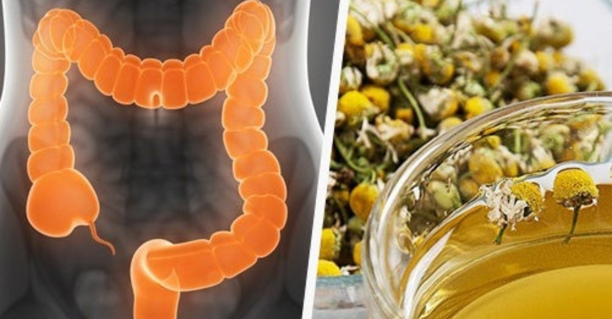 Depura Tu Colon Utilizando Hierbas Medicinales | Delicias Blog