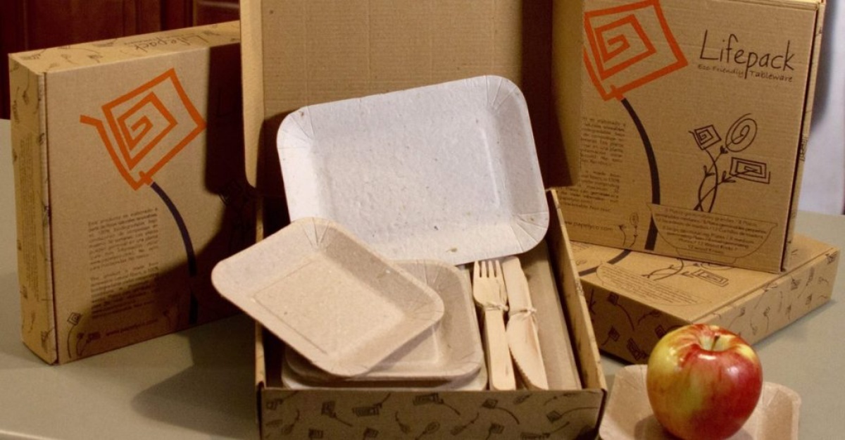 Estos Recipientes Biodegradables Permiten Que Luego De Ocuparlos Los ...