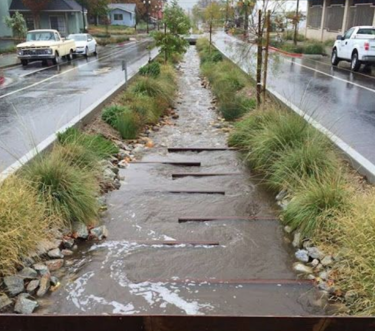 "Jardines De Lluvia" Es La Nueva Tendencia En Lugares En Donde Llueve ...