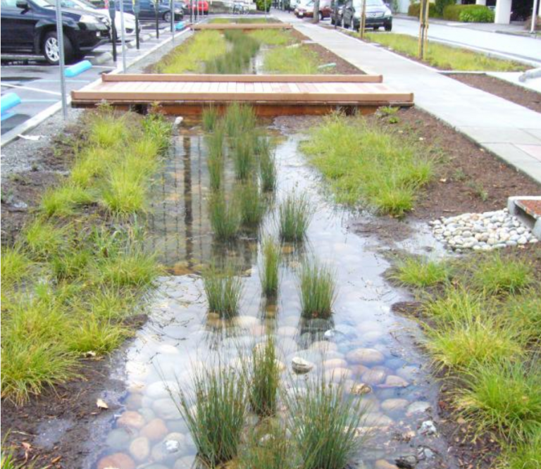 "Jardines De Lluvia" Es La Nueva Tendencia En Lugares En Donde Llueve ...