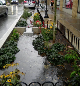 "Jardines De Lluvia" Es La Nueva Tendencia En Lugares En Donde Llueve ...