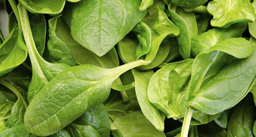 12 Beneficios De Las Espinacas ¡Inclúyelas En Tu Dieta! | Delicias Blog